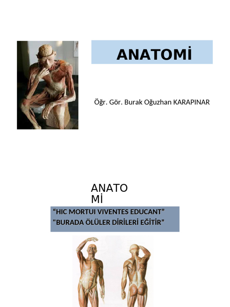 Anatomi Giriş | PDF