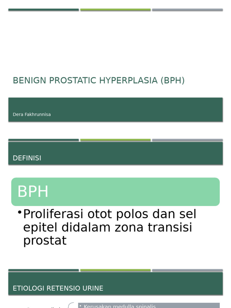 BPH dera | PDF
