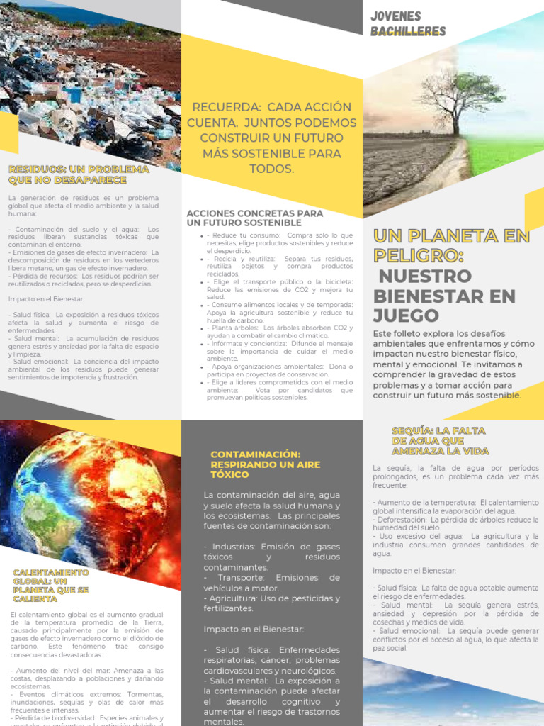 Folleto Brochure de Servicios Empresa Profesional Amarillo - 20240918 ...