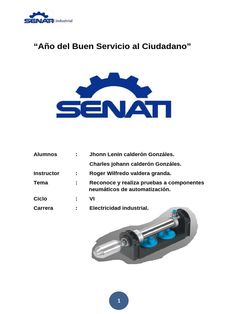 Año Del Buen Servicio Al Ciudadano | PDF