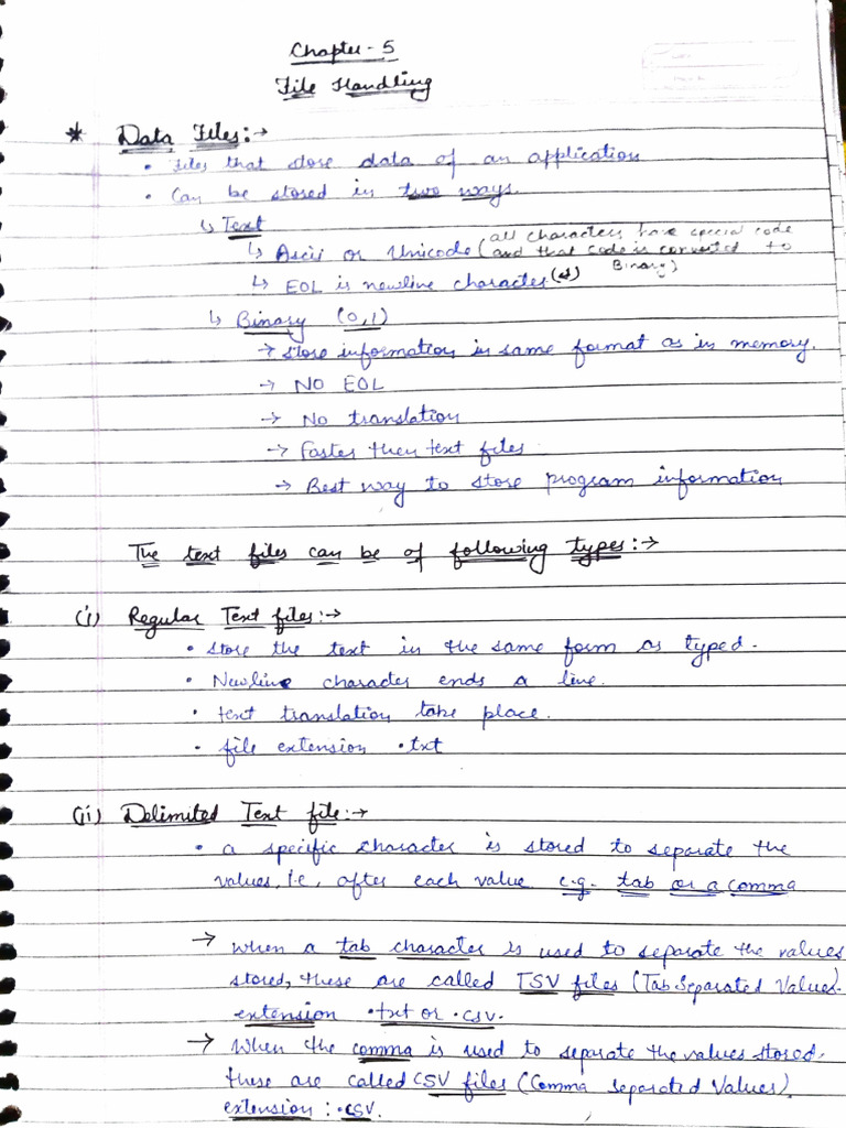 Ch-5 File Handling (Text Files) Handwritten | PDF