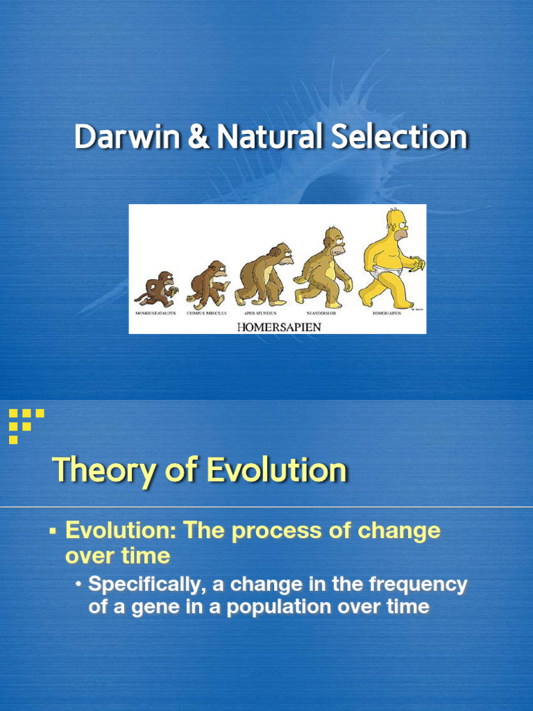 Darwin & Natural Selection | PDF