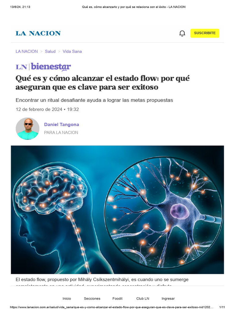 Cómo alcanzar el estado flow y su éxito | PDF
