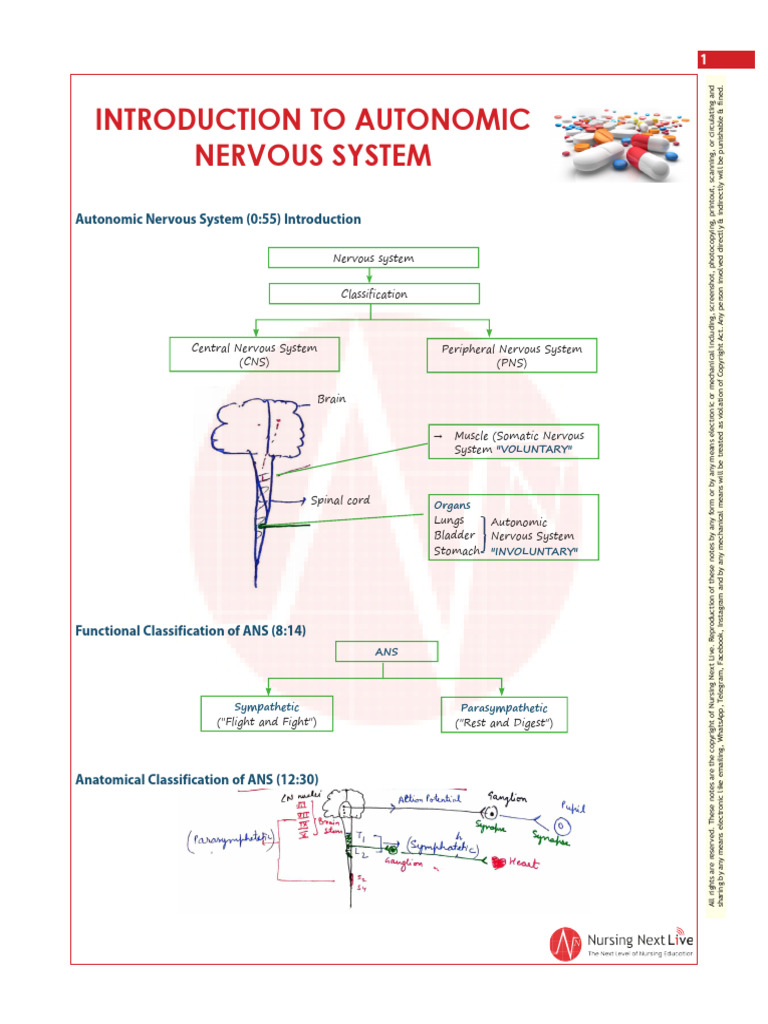 789) Introduction to Autonomic Nervous system_note | PDF