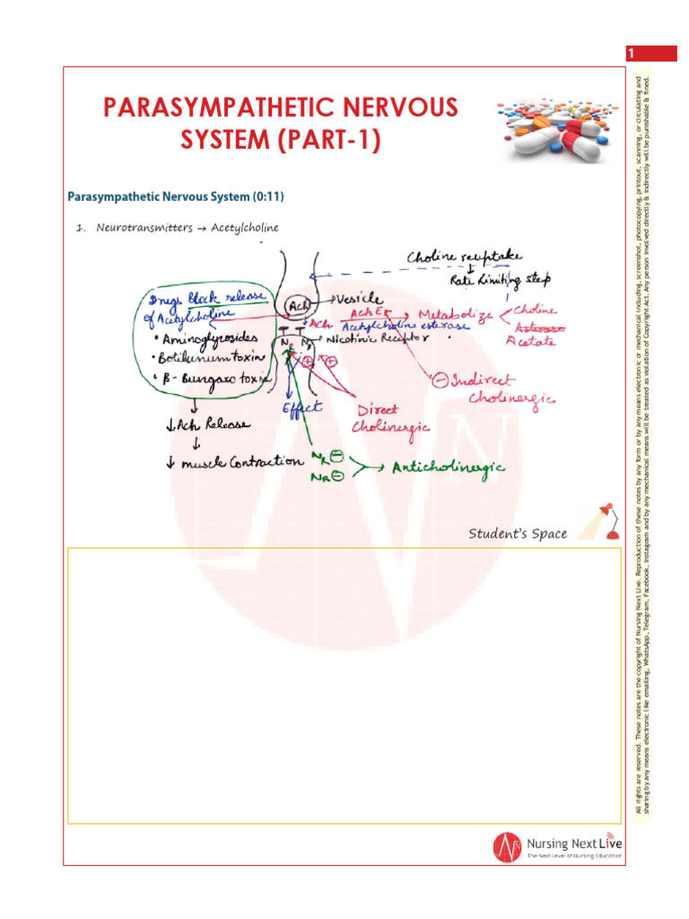 790) - Parasympathetic Nervous System (Part 1) - Note | PDF