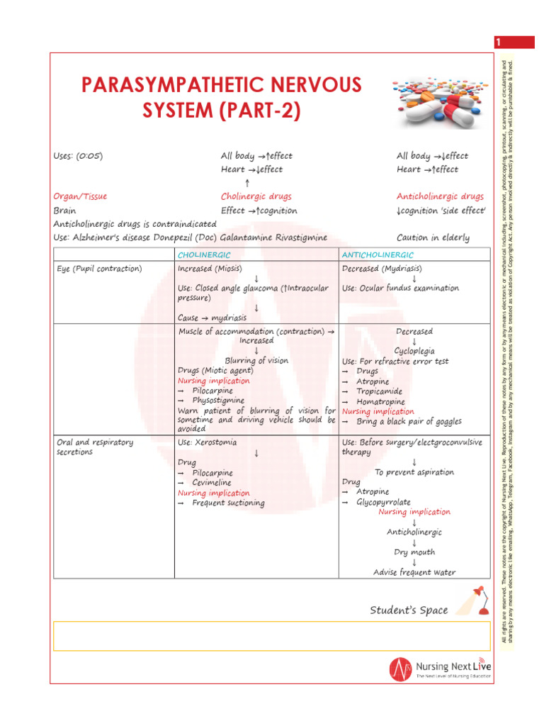 791) Parasympathetic Nervous System (Part 2) - Note | PDF