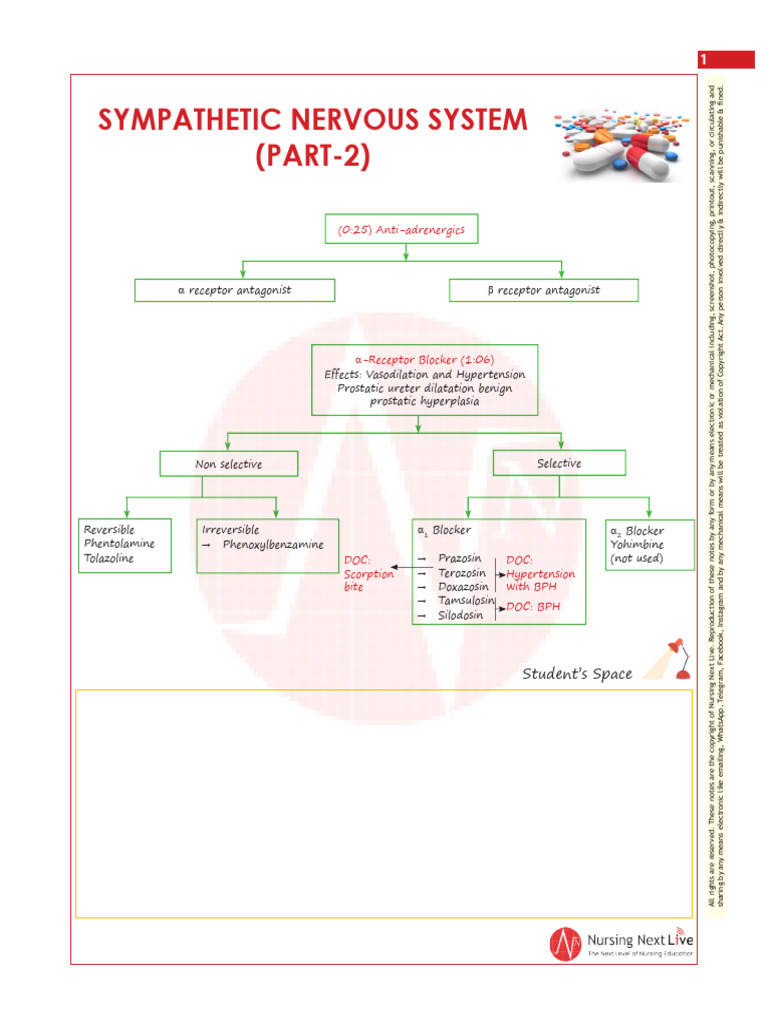 793) Sympathetic Nervous System (Part 2)_note | PDF