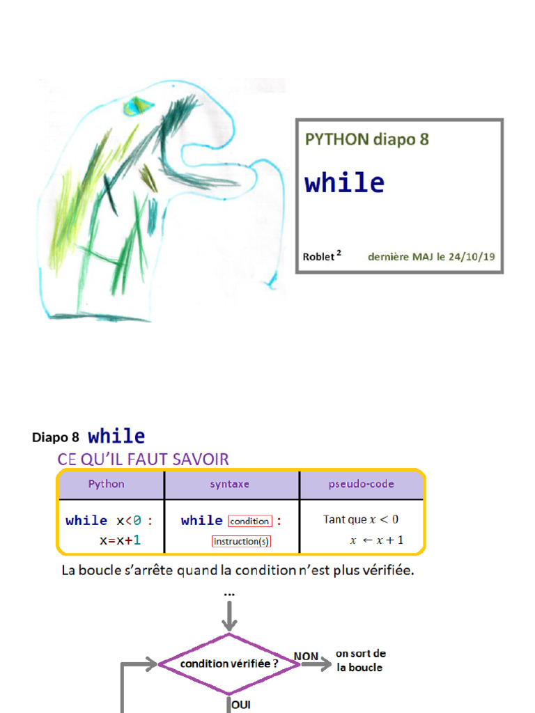 Python Diapo 8 While | PDF