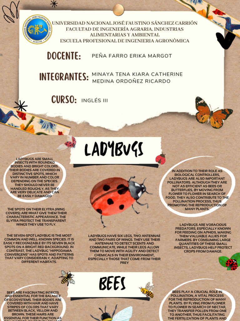 Insects English | PDF