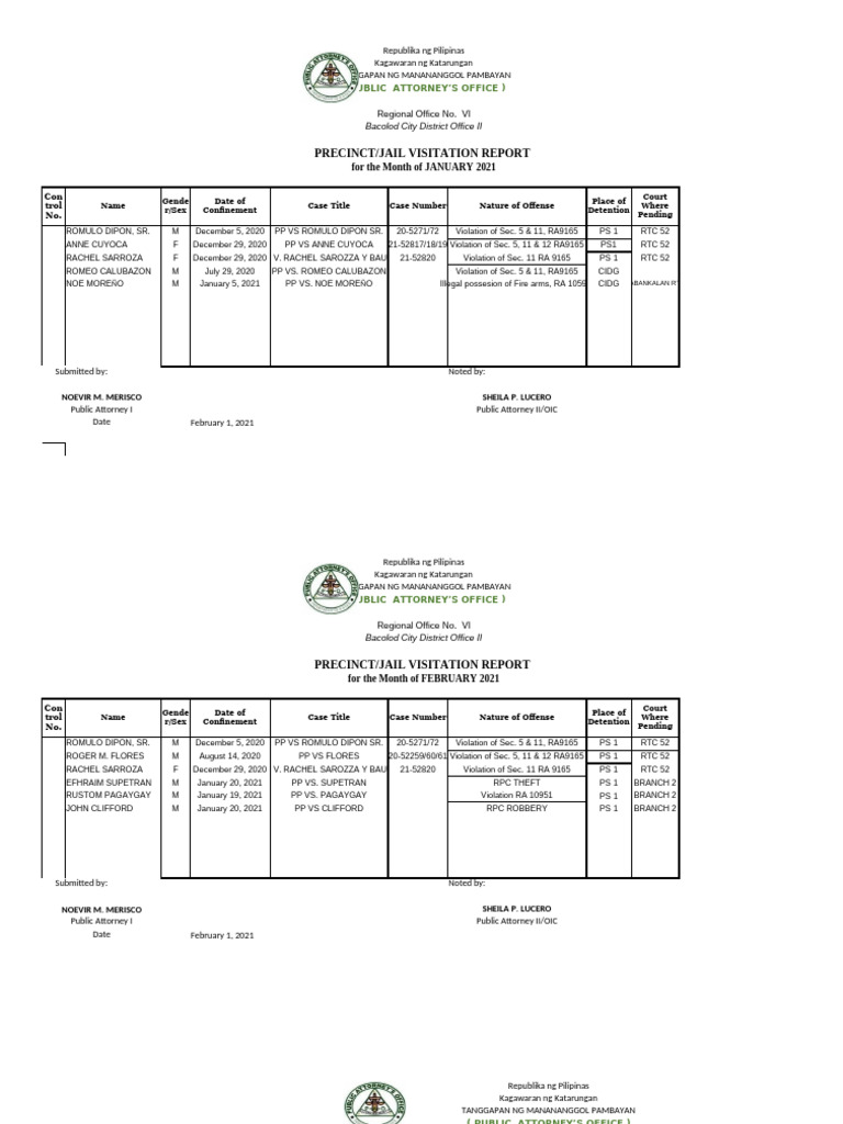 Jail Visitation Report | PDF