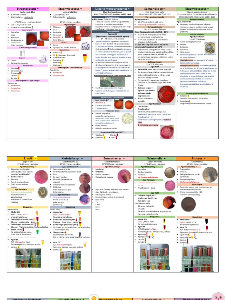 Lab micro Final | PDF