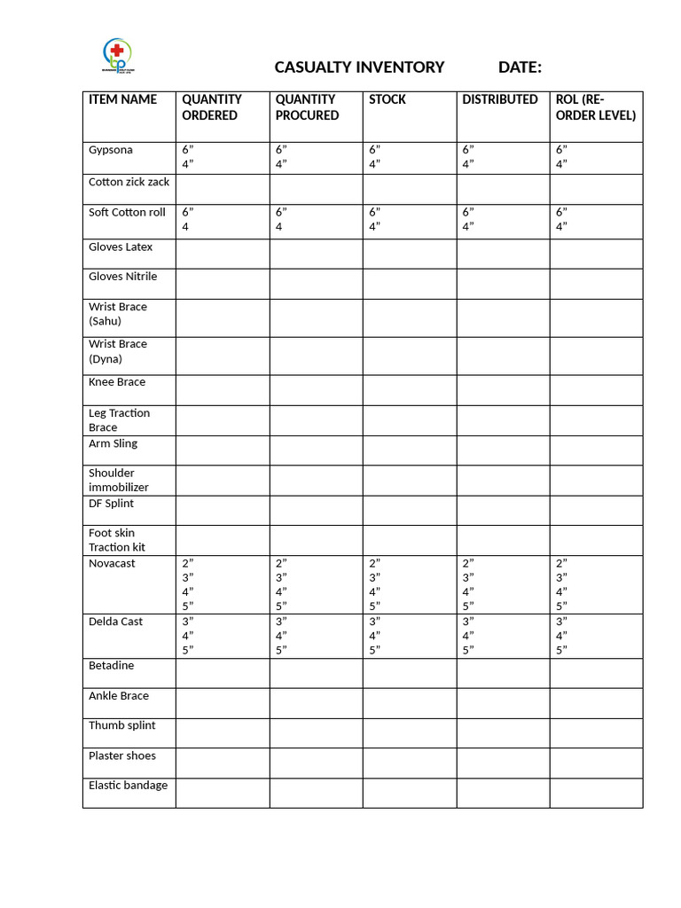 Casualty Inventory Template | PDF