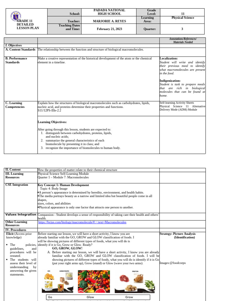 CO LESSON PLAN Macromolecules | PDF