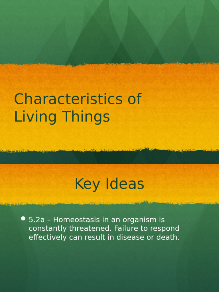 Characteristics of Living Things PowerPoint | PDF