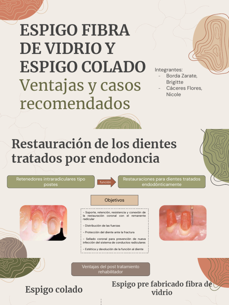 Exposición - Espigo Fibra de Vidrio y Espigo Colado - Ventajas y Casos ...