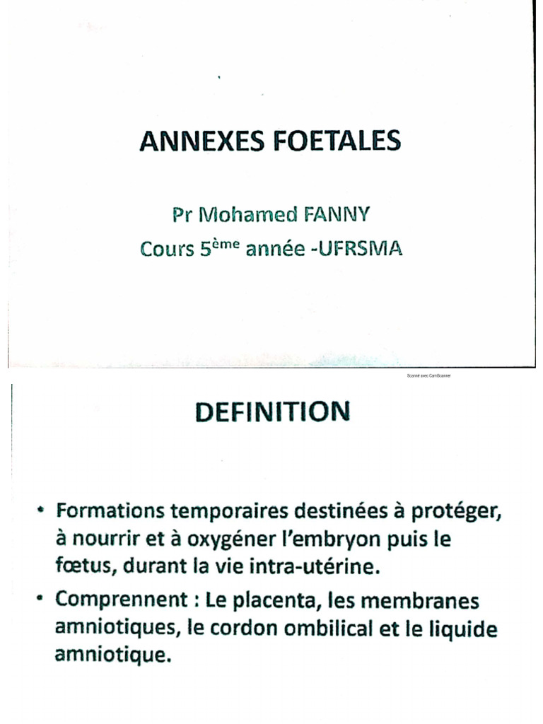 Annexes Foetales | PDF