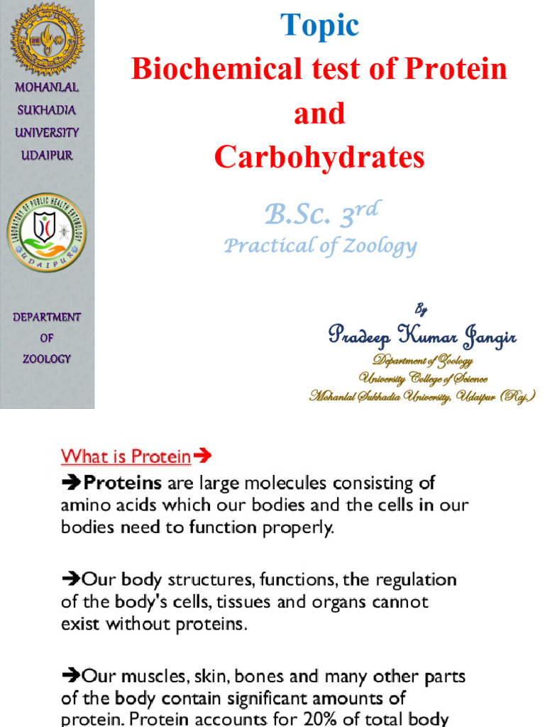 1559 - Biochemical Test of Protein and Carbohydrates | PDF