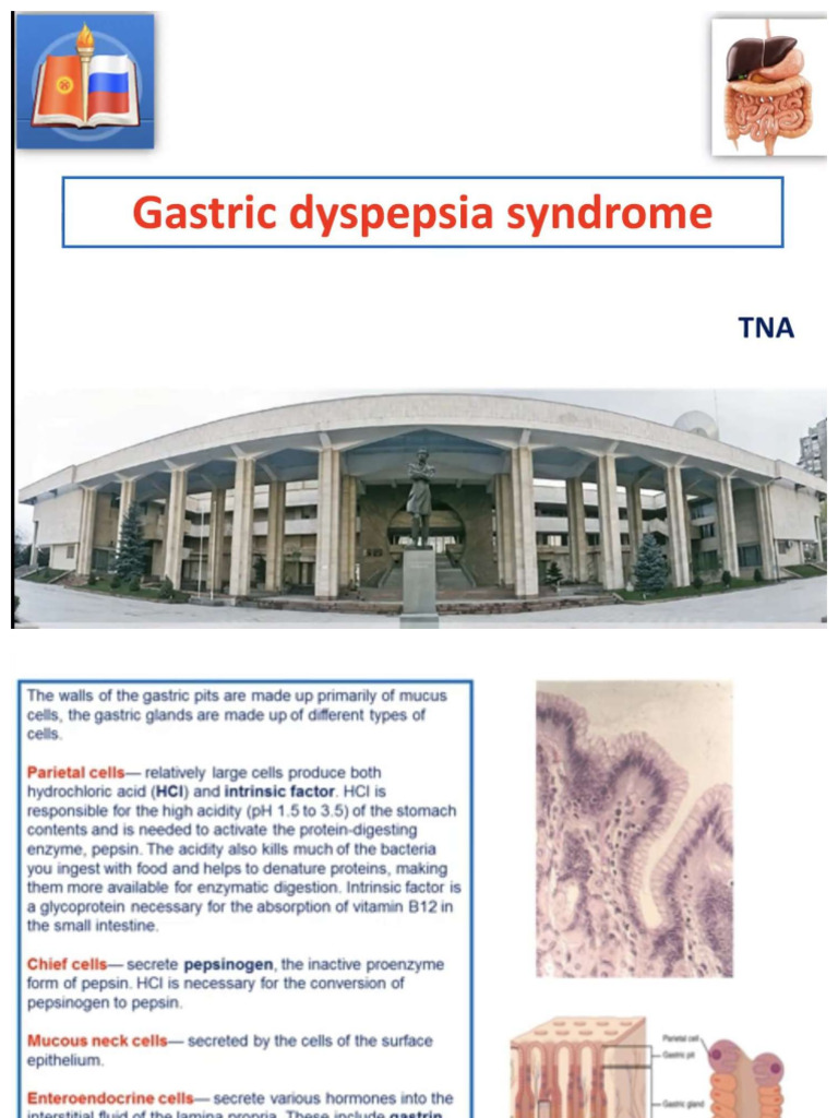 Gastric dyspepsia | PDF