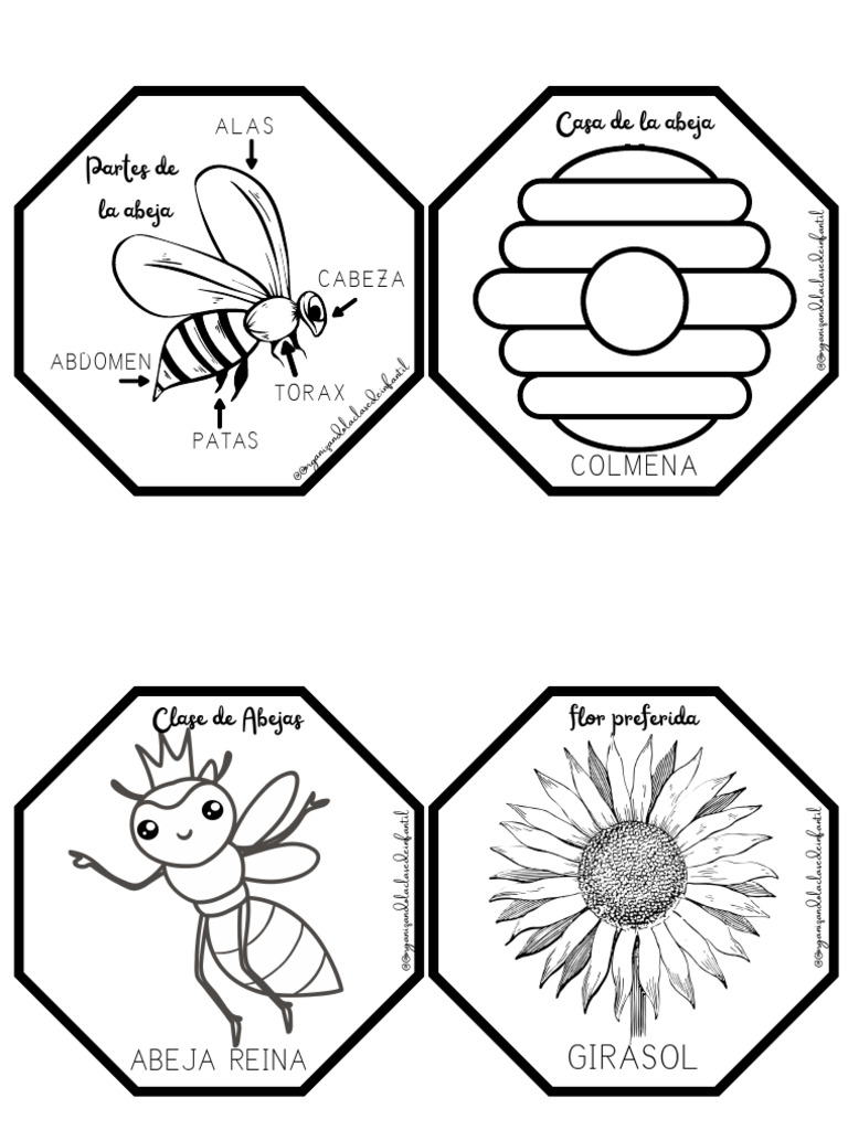 Proyecto 3 Anos Las Abejas | PDF