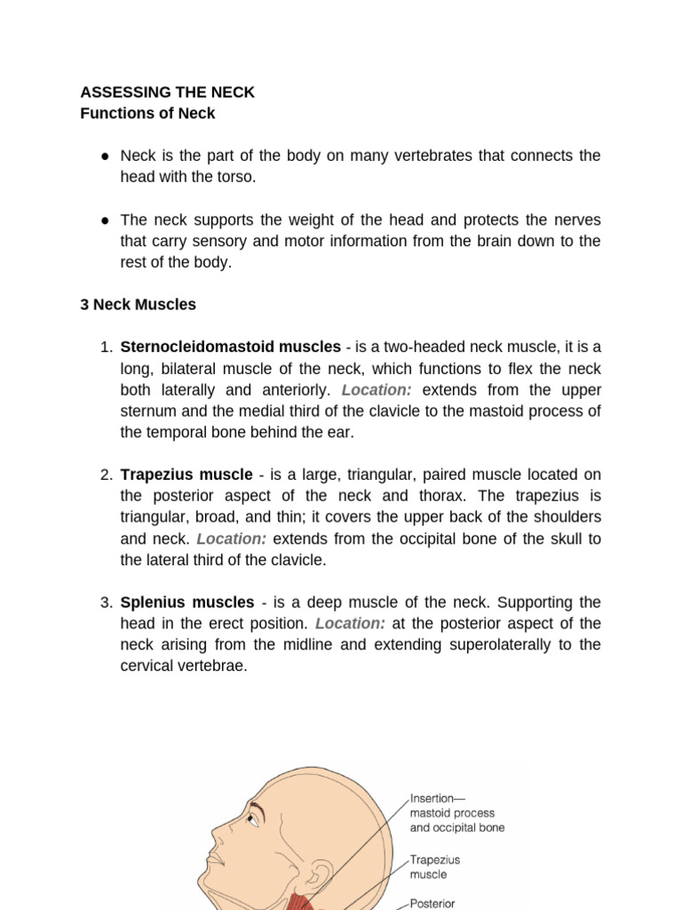 Assessing-the-Neck | PDF