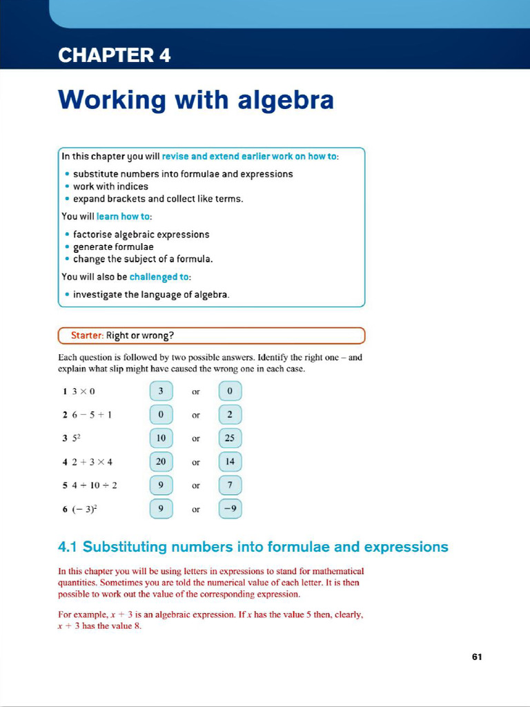 Chapter 4 - Working With Algebra | PDF