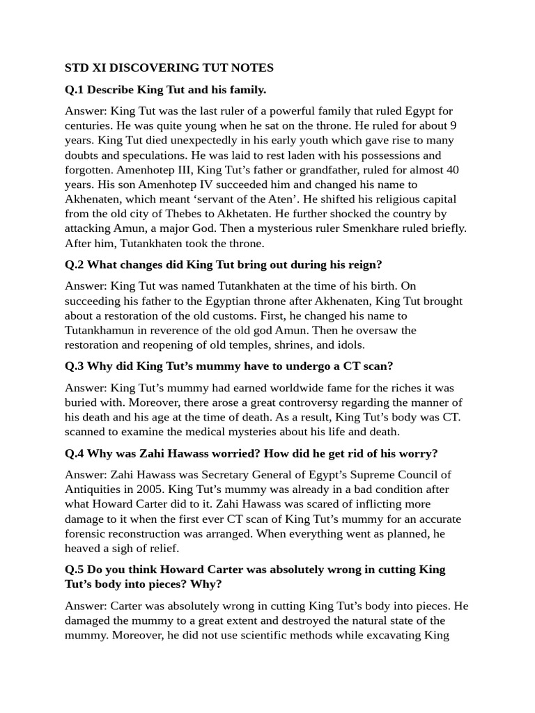 STD Xi Discovering Tut Notes | PDF