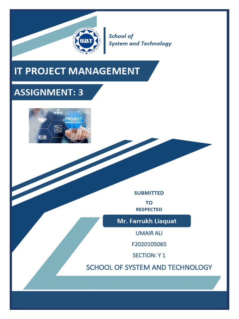 Umair Ali F2020105065 Itpm A # 3 | PDF