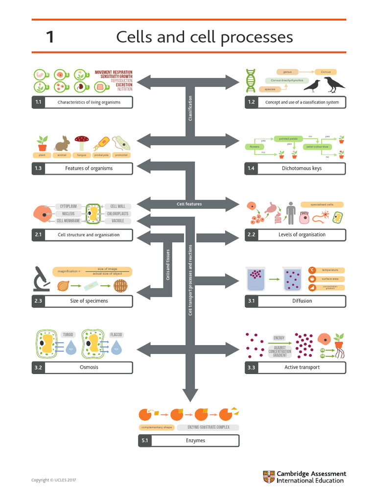 1 Cells and Cell Processes | PDF