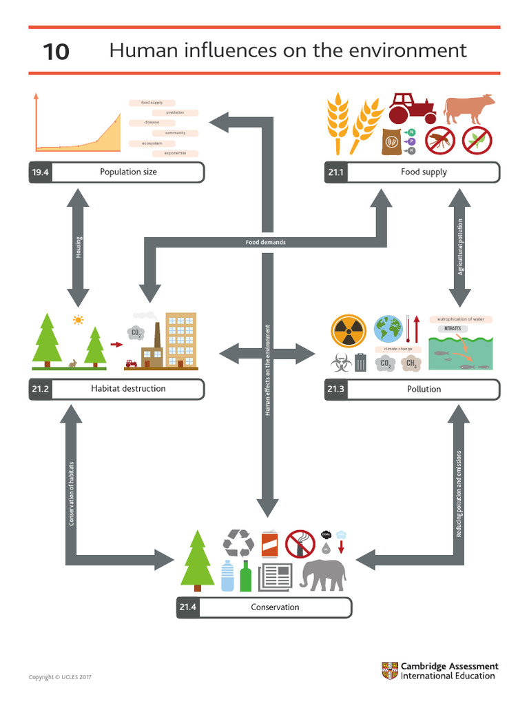 10 Human Influences On The Environment | PDF