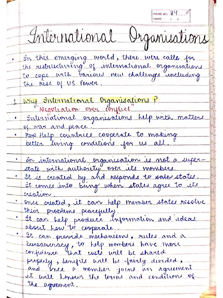 International Organizations | PDF