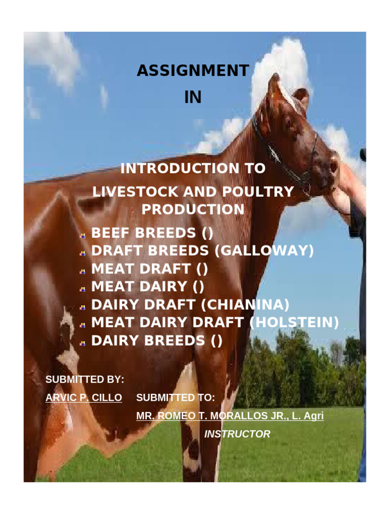 Ilawara Cattle | PDF
