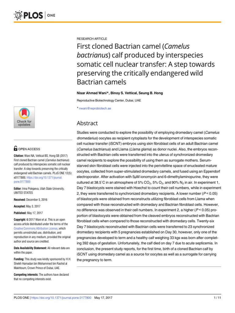 2017 - Wani, Vettical, Hong - PLoS ONE - First Cloned Bactrian Camel ...