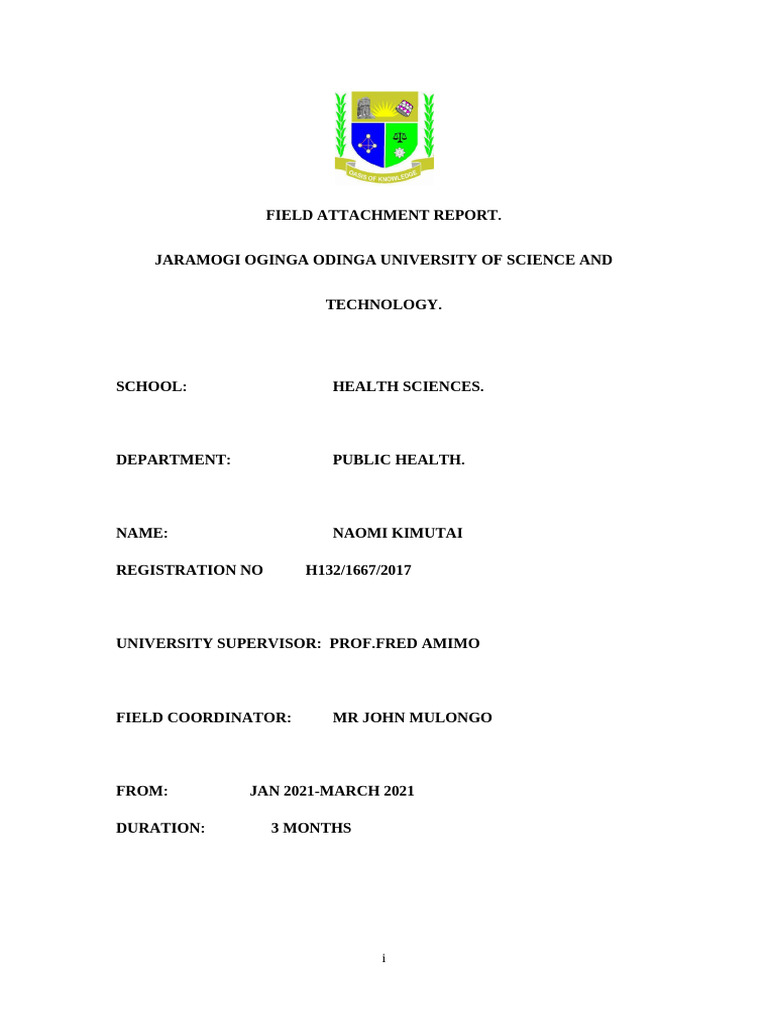 Naomi Final Attachment Report | PDF