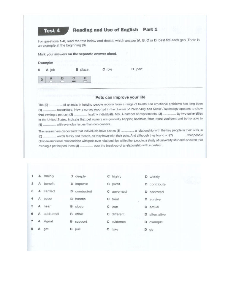 First Trainer Test 4 | PDF