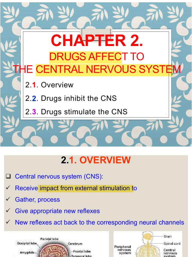 Chapter 2. Drugs Affect To The CNS | PDF