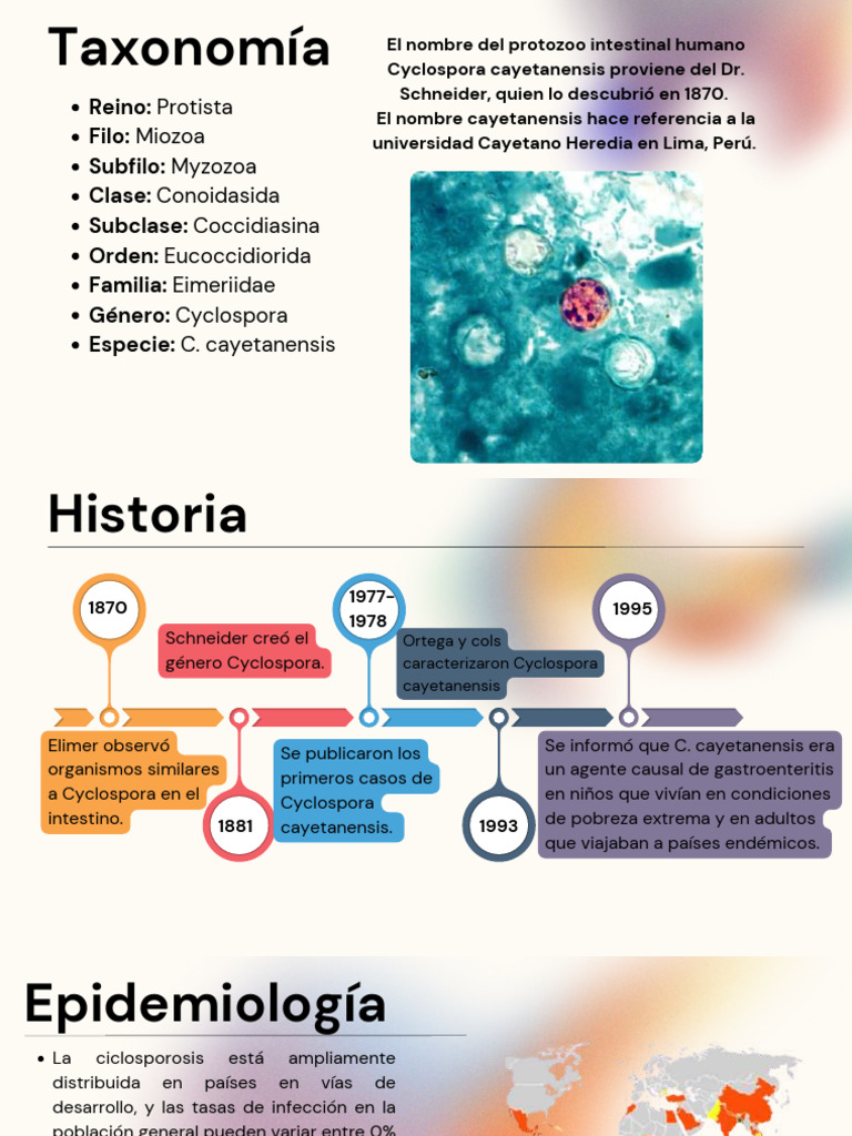 Cyclospora Cayetanensis | PDF