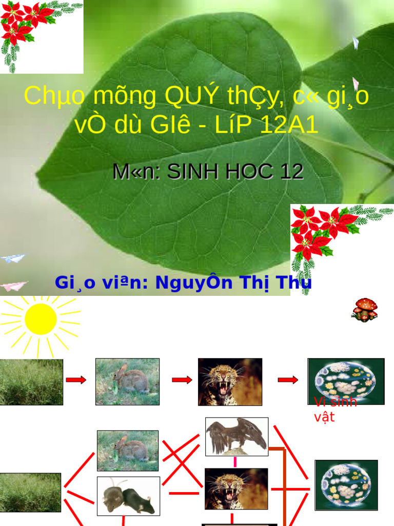 Bai 45 Dong Nang Luong Trong He Sinh Thai Va Hieu Suatsinh Thai | PDF