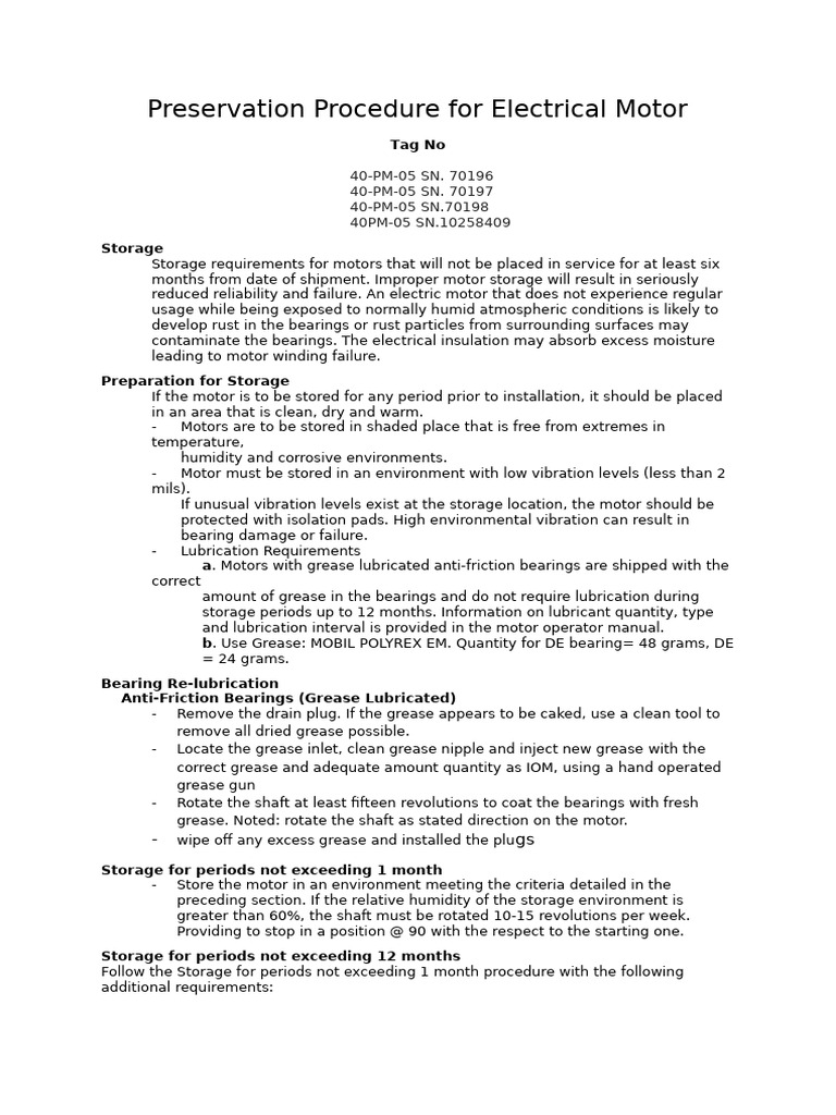 Preservation For Large Electrical Motor | PDF