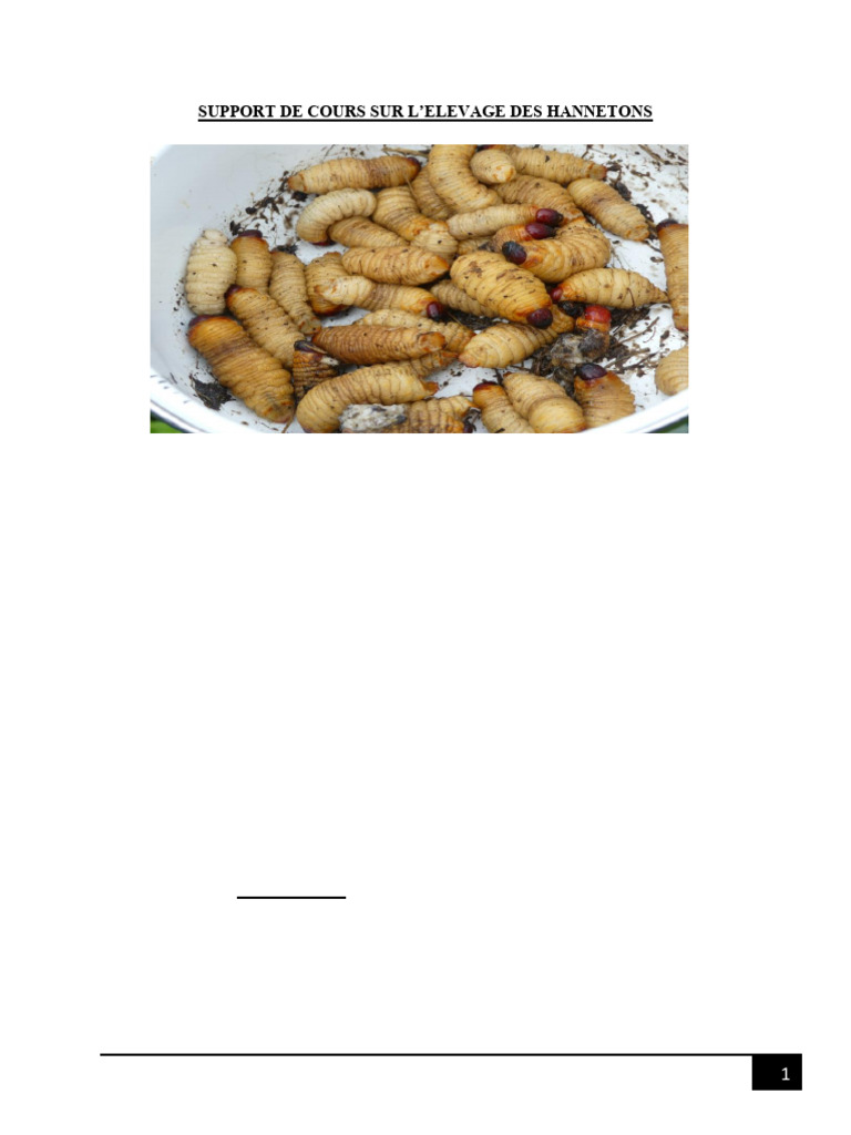 Elevage Des Hannetons | PDF