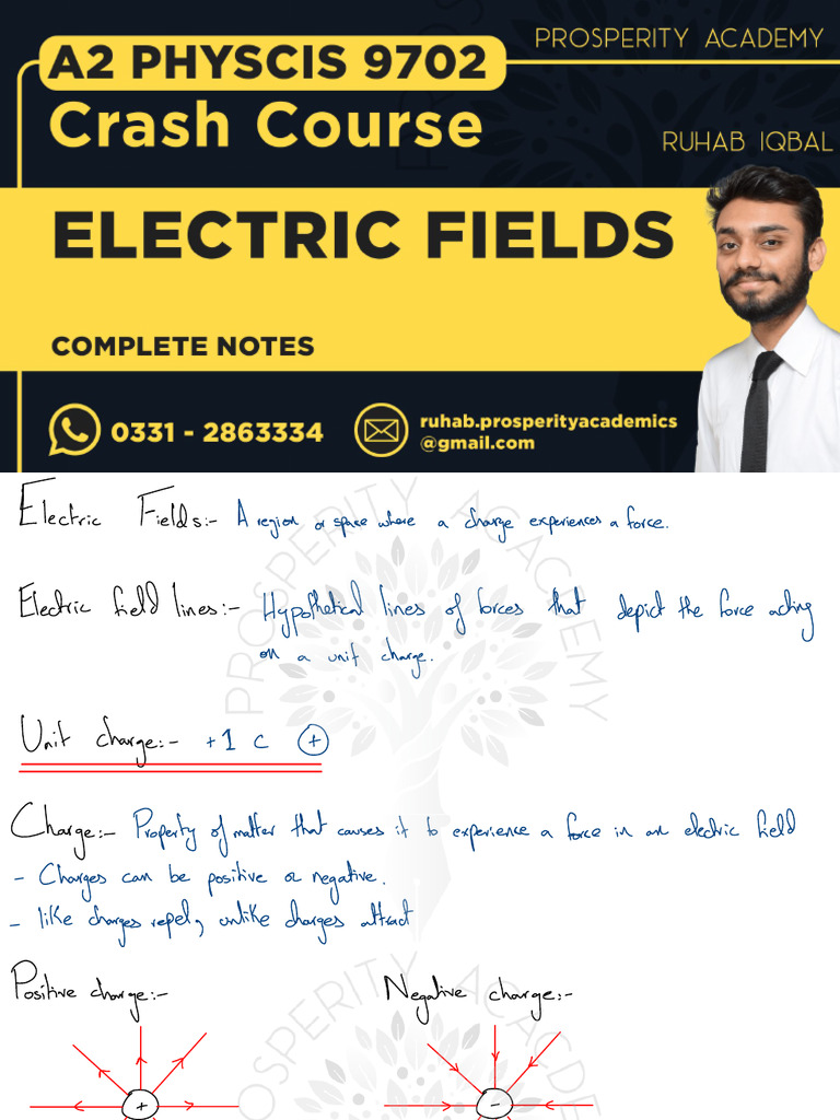 Electric Fields | PDF