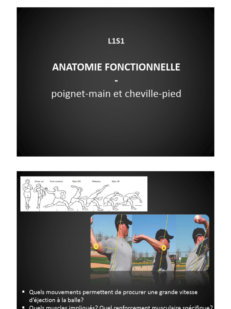 Diapo - Poignet-Main | PDF