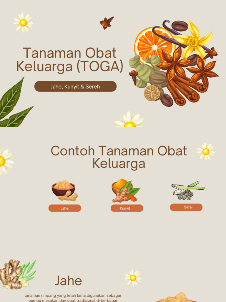Tanaman Obat Keluarga (TOGA) | PDF