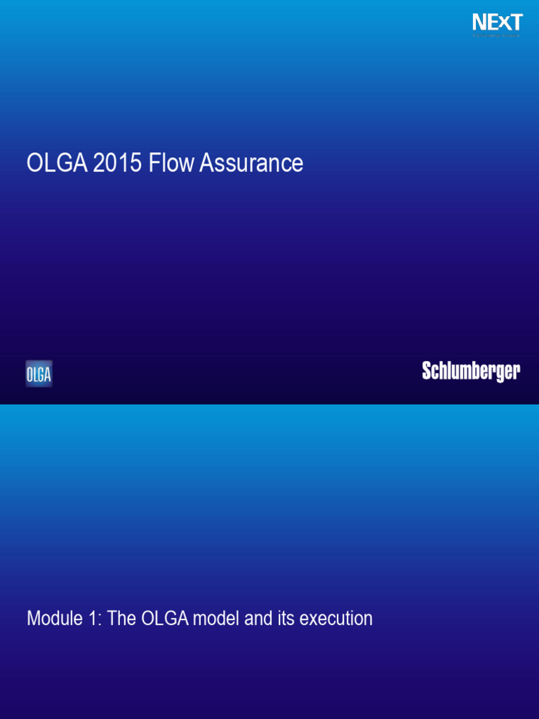 OLGA FA 1d - The OLGA Model and Its Execution | PDF