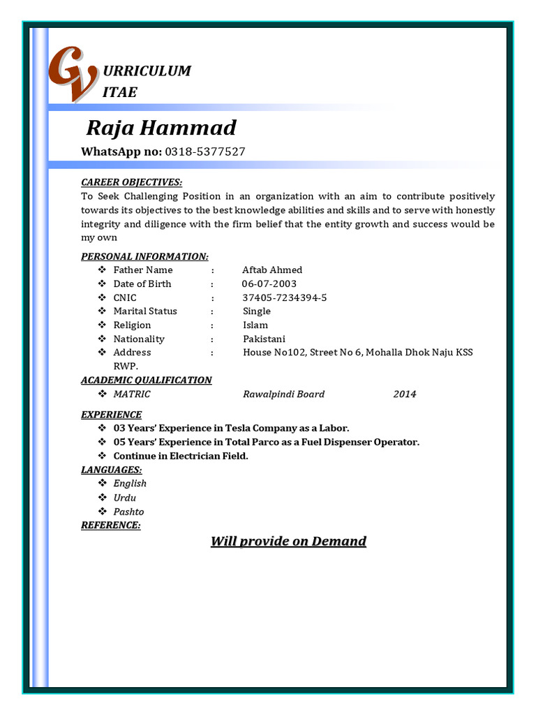 Raja Hammad CV | PDF