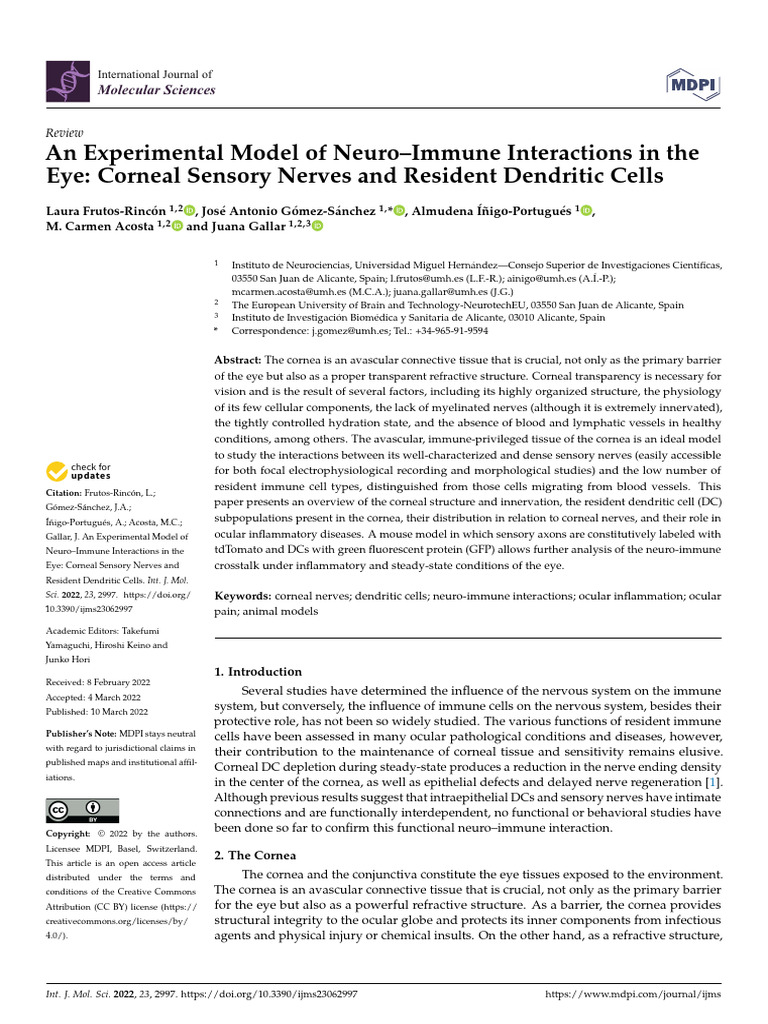 An Experimental Model of Neuro-Immune Interactions in The Eye Corneal ...