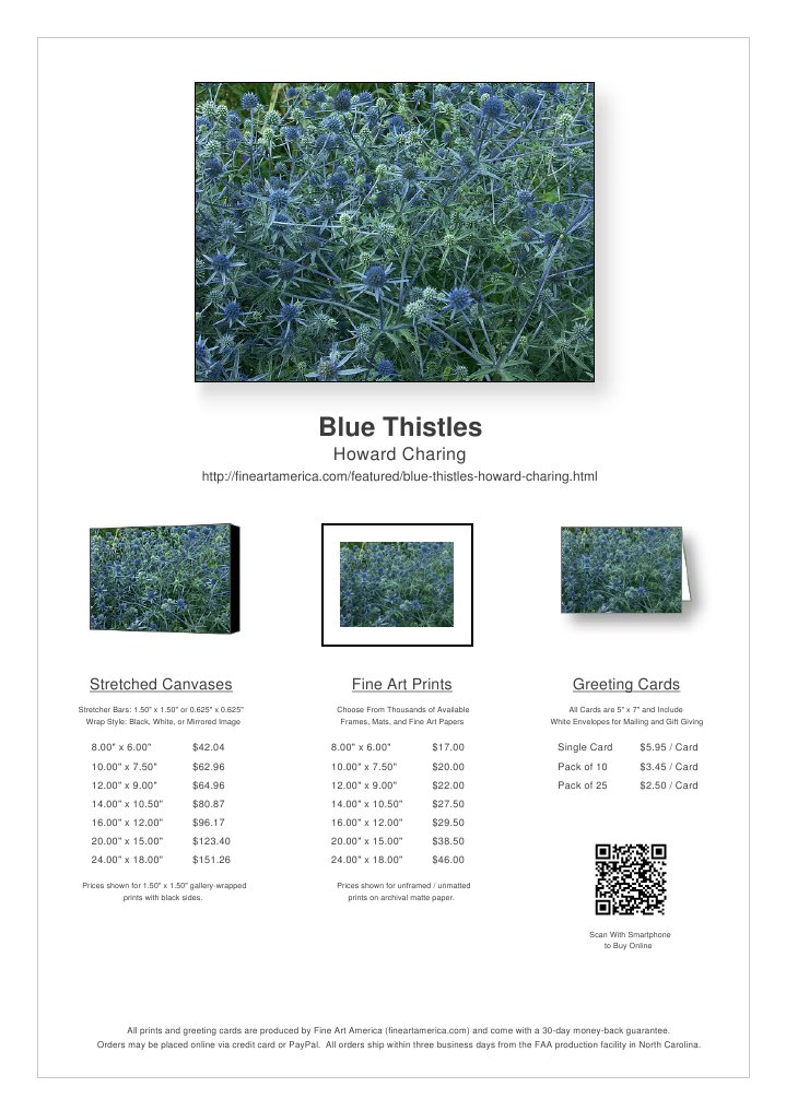 Blue Thistles | PDF | Cooking, Food & Wine