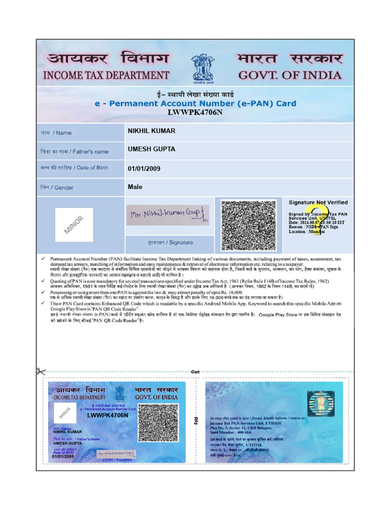 Nikhil Pan Card | PDF