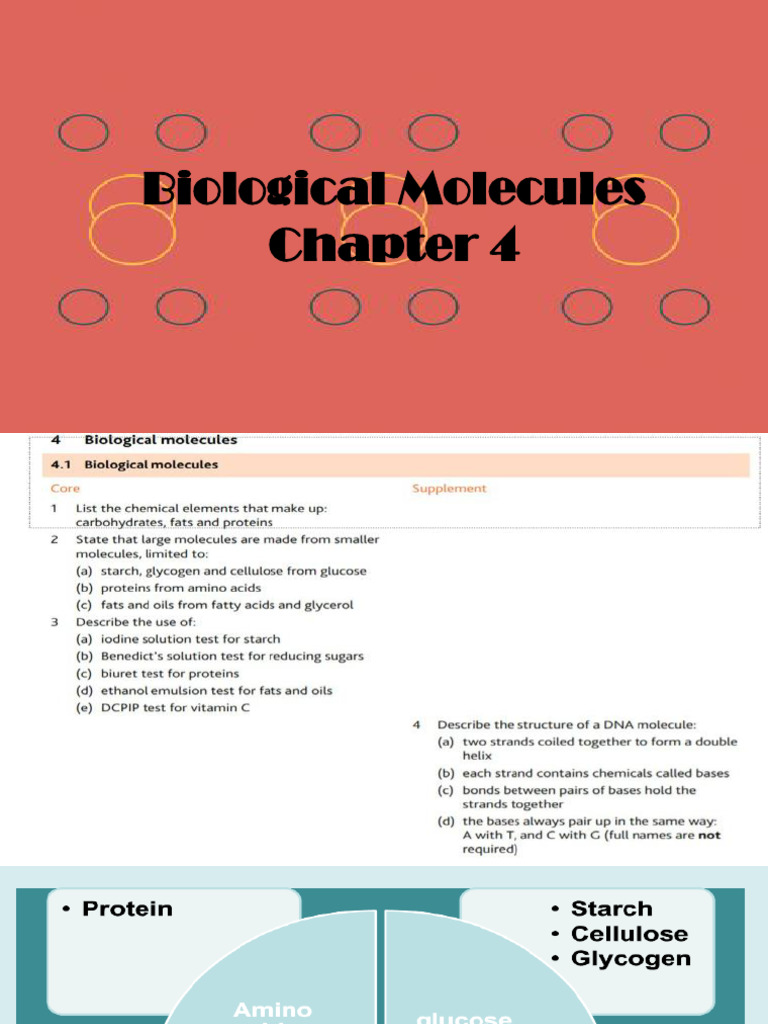 Biology CH 4 (20-23-24) | PDF