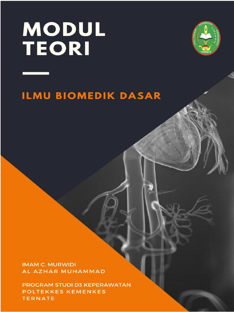 Modul IBD TA 20212022 | PDF