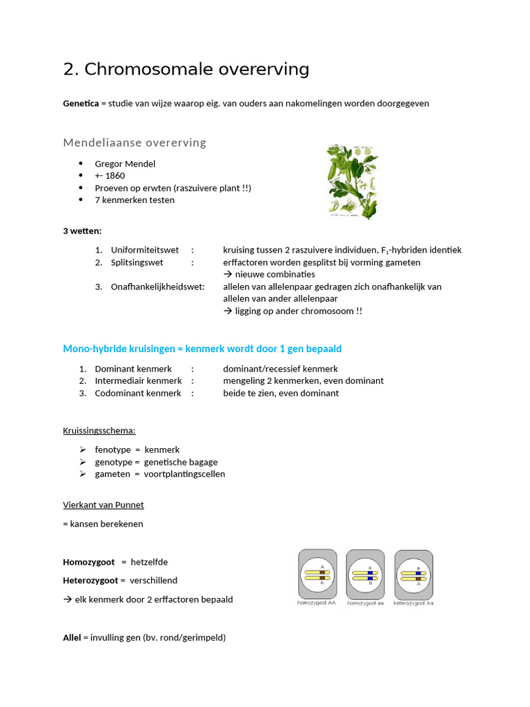 Chromosomale Overerving | PDF